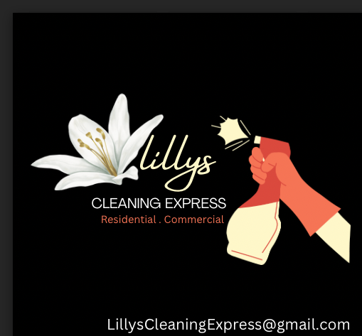 LILLY’S CLEANING EXPRESS - Hollywood, Florida - Home Cleaning - Phone ...