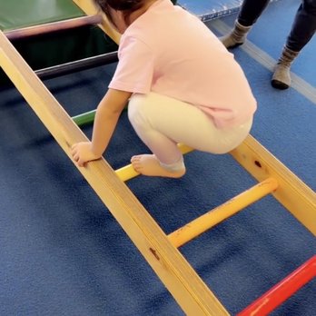 GYMTOWNE GYMNASTICS SSF - Updated December 2025 - 32 Photos & 99 ...