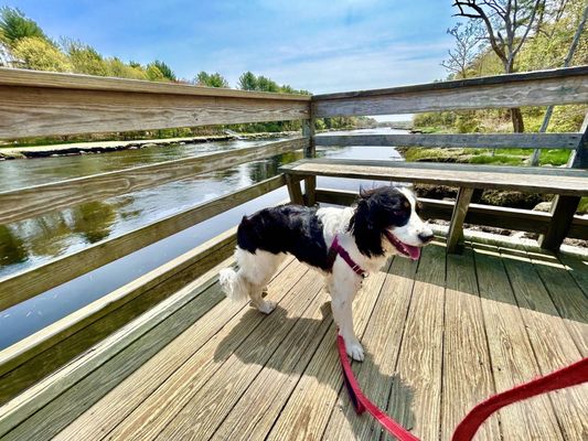 NORRIS RESERVATION - Updated July 2025 - 97 Photos - Dover St, Norwell ...