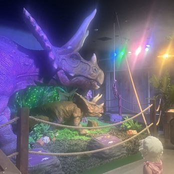 DINOSAUR OUTPOST - Updated September 2025 - 57 Photos & 29 Reviews ...