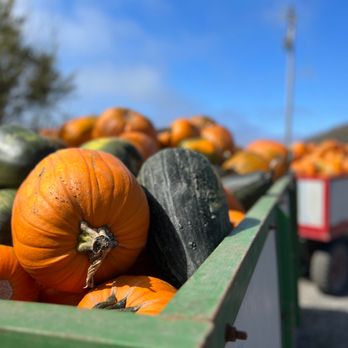 RODONI FARMS - Updated January 2026 - 151 Photos & 34 Reviews - 4444 ...