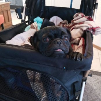 VALLEY ANIMAL HAVEN - Updated January 2026 - 32 Photos & 15 Reviews ...