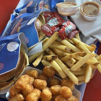 ASTROID BURGERS & WINGS - Updated October 2025 - 138 Photos & 61 ...