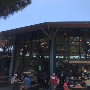 LEAPING LEMUR CAFE - Updated October 2025 - 154 Photos & 62 Reviews - 1 ...