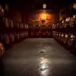 TRINITY RIVER DISTILLERY - Updated October 2025 - 303 Photos & 189 ...