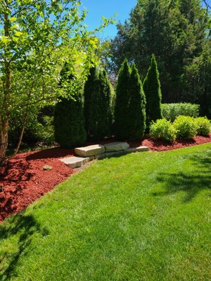 RAFAEL LANDSCAPING - Updated August 2024 - 313 Photos & 49 Reviews ...