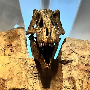 WESTERN SCIENCE CENTER - Updated May 2024 - 227 Photos & 67 Reviews ...