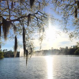 LAKE ELLA PARK - 110 Photos & 44 Reviews - Parks - N Monroe And S Lake ...