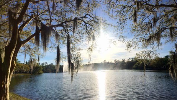 LAKE ELLA PARK - 110 Photos & 44 Reviews - Parks - N Monroe And S Lake ...