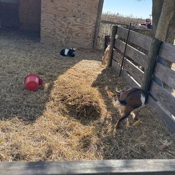 CIRCLE S FARMS - Updated October 2025 - 35 Photos & 58 Reviews - 9015 ...