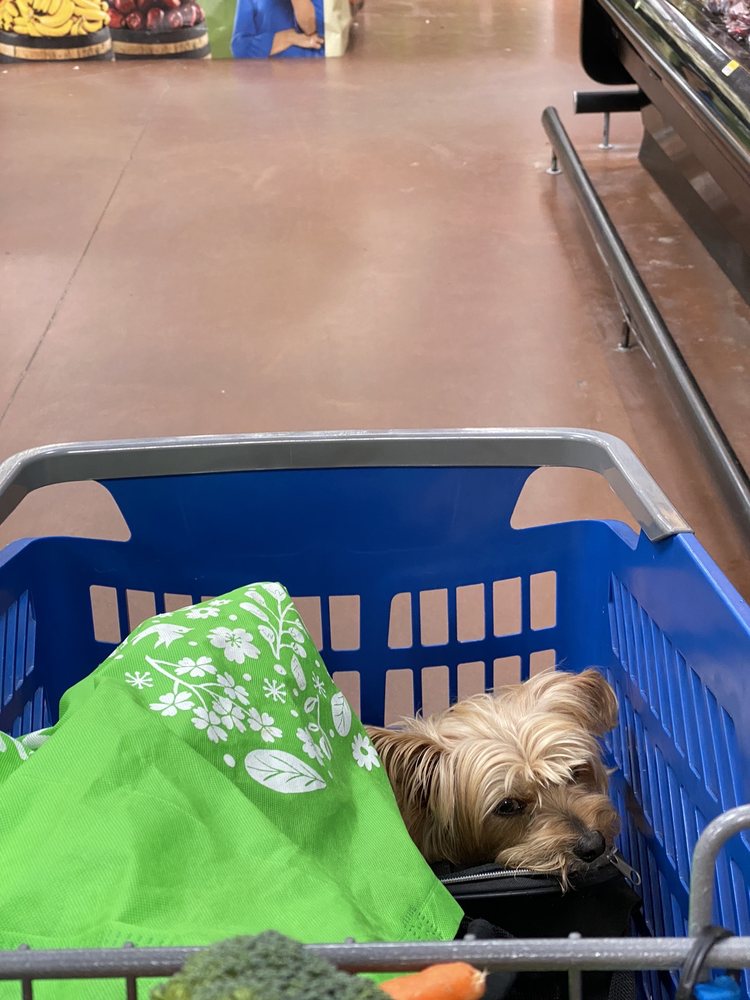 WALMART - 324 Photos - Paseo del Pedregal 120, Tijuana, Baja California ...