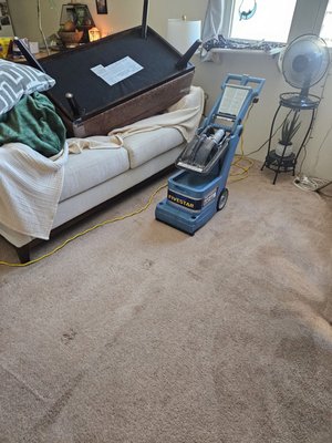 HAWAIIAN RENT-ALL - Updated December 2025 - 45 Photos & 58 Reviews ...