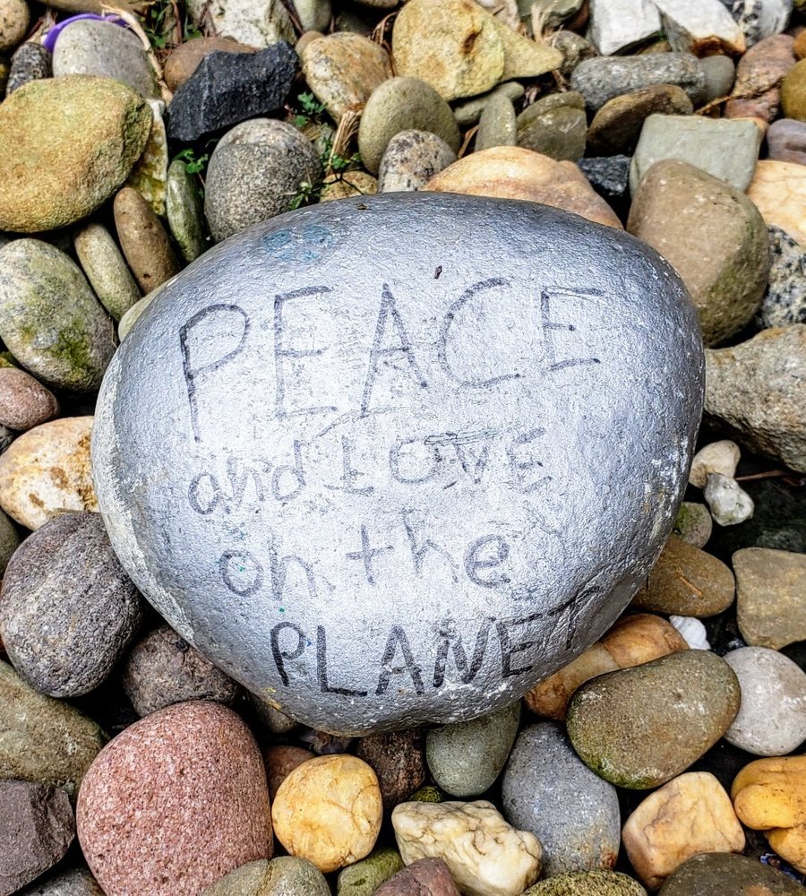 SPRINGFIELD FREE PUBLIC LIBRARY - Updated October 2025 - 10 Photos - 66 ...