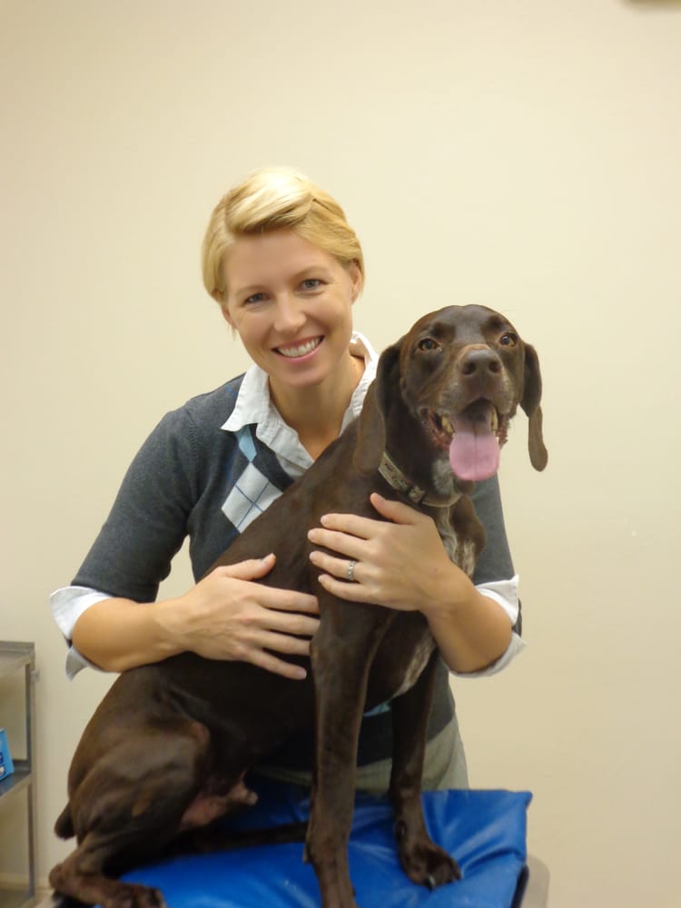 JENNIFER STRATTON, DVM - INDIAN CREEK PET HOSPITAL - Updated October ...