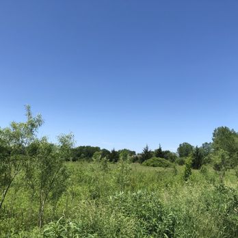 SPRINGBROOK PRAIRIE FOREST PRESERVE - Updated May 2025 - 125 Photos ...