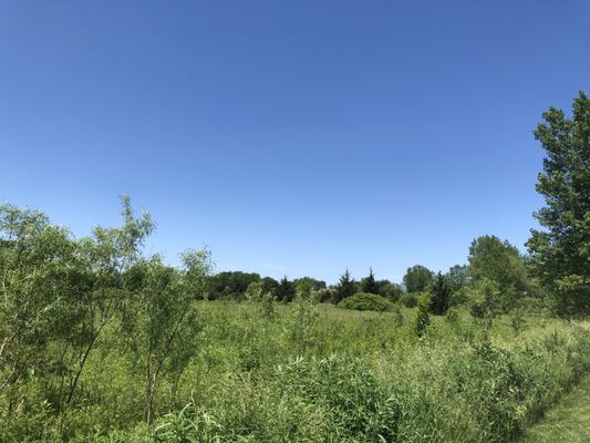 SPRINGBROOK PRAIRIE FOREST PRESERVE - Updated May 2024 - 121 Photos ...