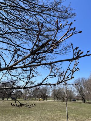 CALUMET PARK - Updated June 2024 - 52 Photos & 15 Reviews - 9801 S Ave ...