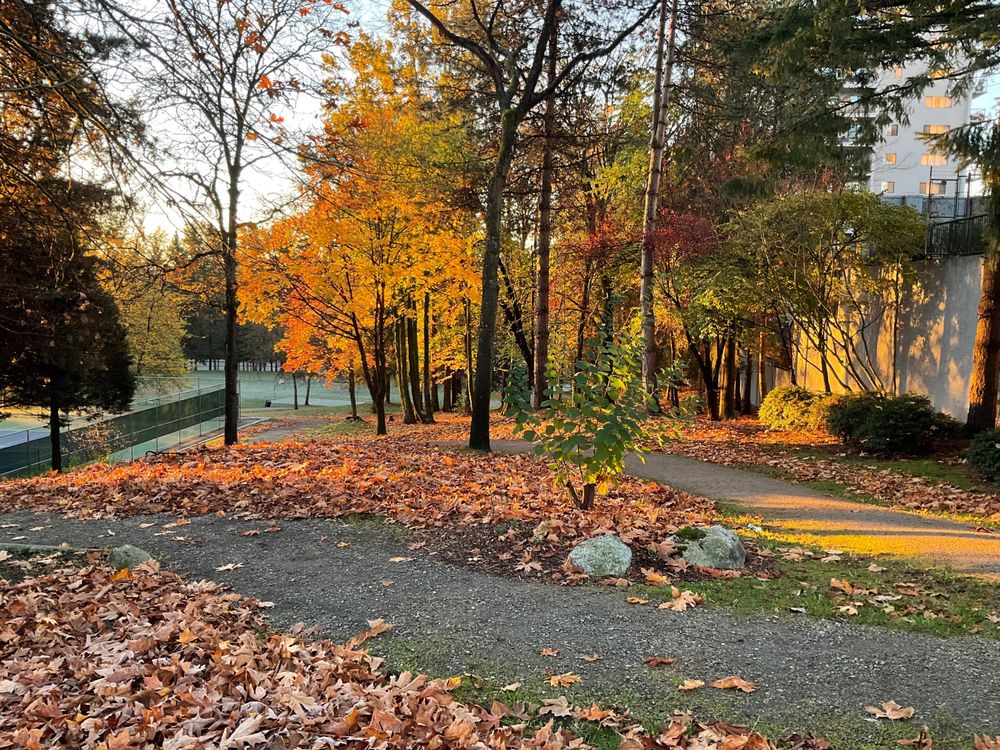 KESWICK PARK - Updated October 2025 - 281 Photos - 9452 Cardston Court ...