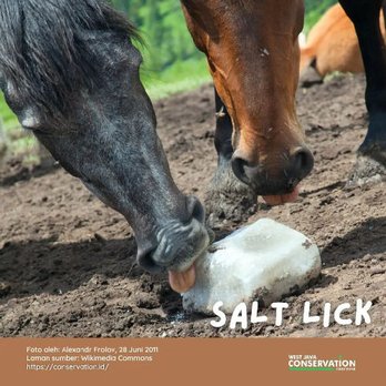 CAL-MART SUPERMARKET - Updated December 2025 - 124 Photos & 285 Reviews ...