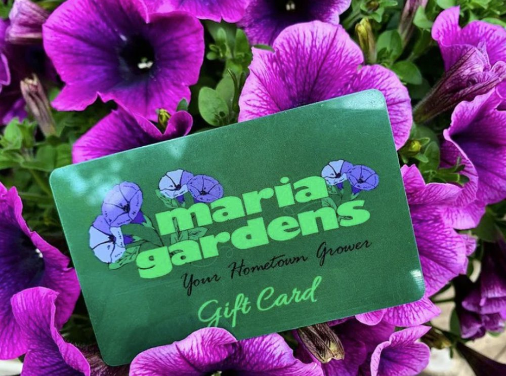 MARIA GARDENS CENTER - Updated June 2025 - 22 Photos & 37 Reviews ...