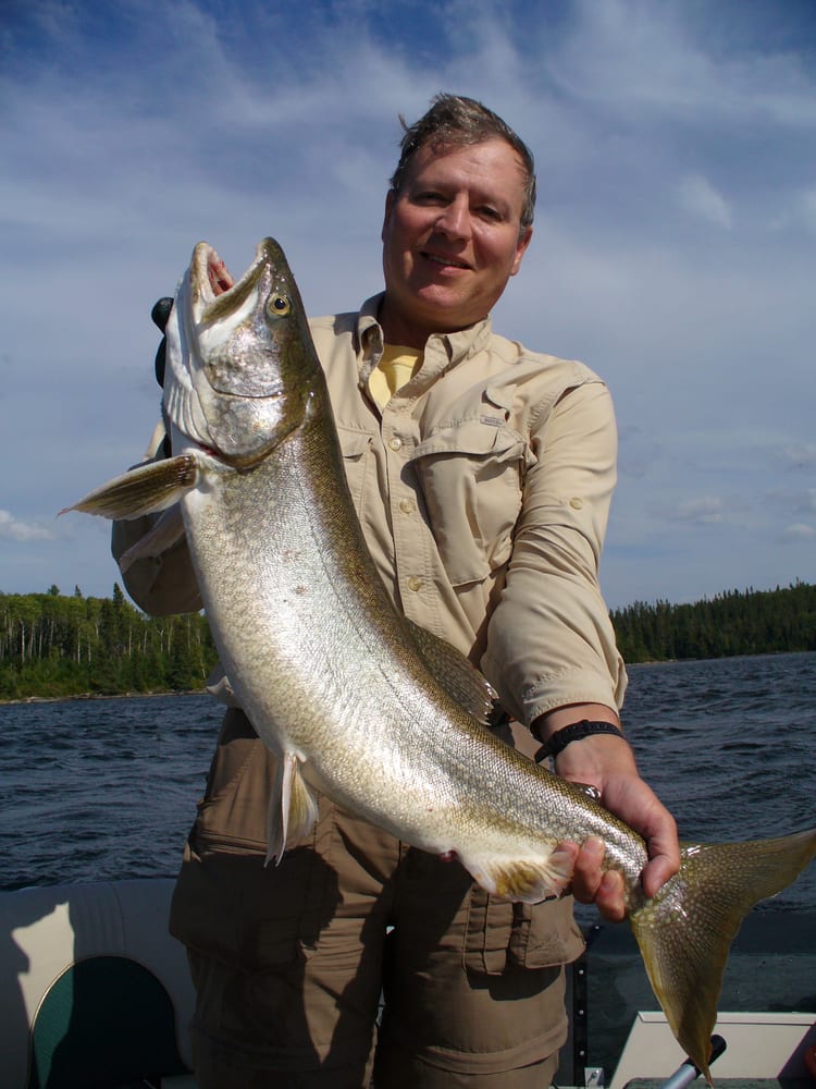 VERMILION BAY LODGE - Updated August 2024 - 11 Photos - 202 Lakeshore ...