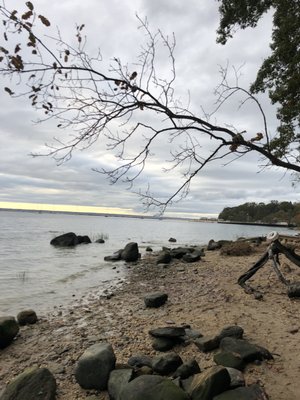 GARVIES POINT MUSEUM & PRESERVE - Updated November 2024 - 71 Photos ...