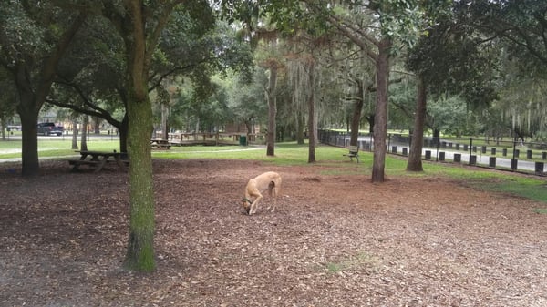 ROWLETT DOG PARK - 26 Photos & 20 Reviews - Dog Parks - 2401 E Yukon St ...