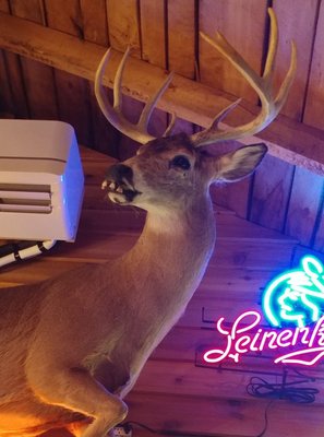 BUCKNUCKLES BAR & GRILL - 25 Photos & 20 Reviews - 1501 S State Rd 88 ...