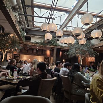 ABA - Updated April 2025 - 4516 Photos & 1795 Reviews - 302 N Green St ...