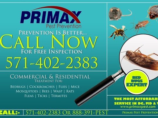 PRIMAX PEST CONTROL - Updated January 2025 - Washington, District of ...