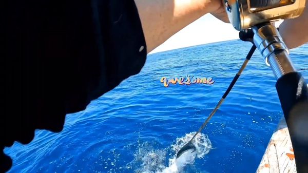 PIERPOINT LANDING - Updated December 2025 - 216 Photos & 227 Reviews ...