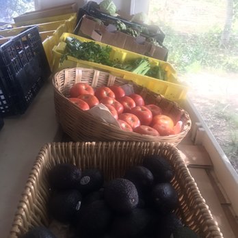 BERRY BEST FARM - Updated July 2024 - 47 Photos & 52 Reviews - 7450 ...