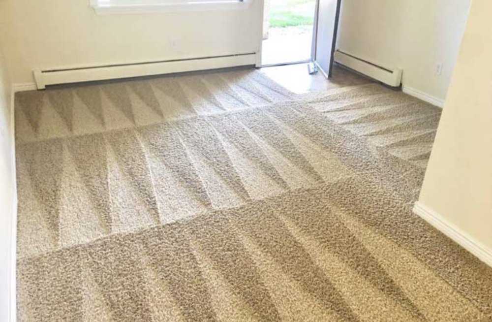 VIP CARPET CARE - Carpet Cleaning - Clemson, SC - Phone Number - Yelp