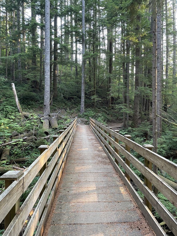 ELISSA HURAND, PHD, LMHC LPCC - Updated May 2024 - 5306 Ballard Ave NW ...