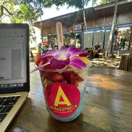 AMAZONICA - Updated November 2025 - 193 Photos & 126 Reviews - 5030 NE ...