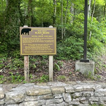 NATURAL BRIDGE STATE RESORT PARK - Updated October 2025 - 258 Photos ...