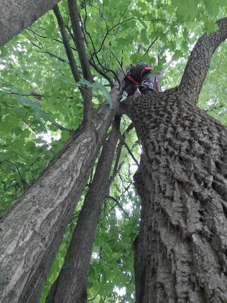 THE SYDNEY PROJECT - Updated September 2025 - 21 Photos - Flushing ...