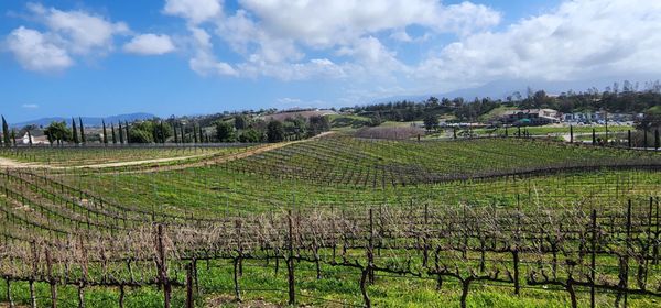 HALTER RANCH TEMECULA - Updated July 2024 - 85 Photos & 39 Reviews - 41300 Ave Biona Temecula Ca ...