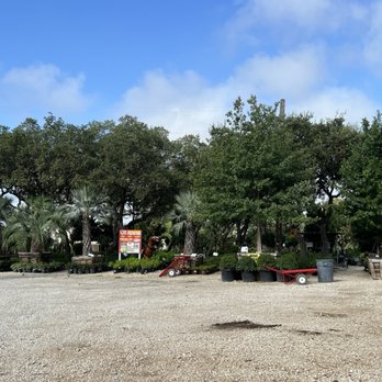 MOON VALLEY NURSERIES - Updated March 2025 - 32 Photos & 36 Reviews - 3550 N Loop 1604 E, San ...