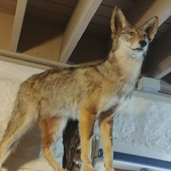 ELLANOR C LAWRENCE PARK - WALNEY VISITORS CENTER - Updated December ...