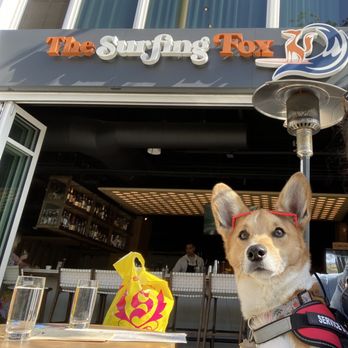 THE SURFING FOX - Updated May 2024 - 195 Photos & 127 Reviews - 120 ...