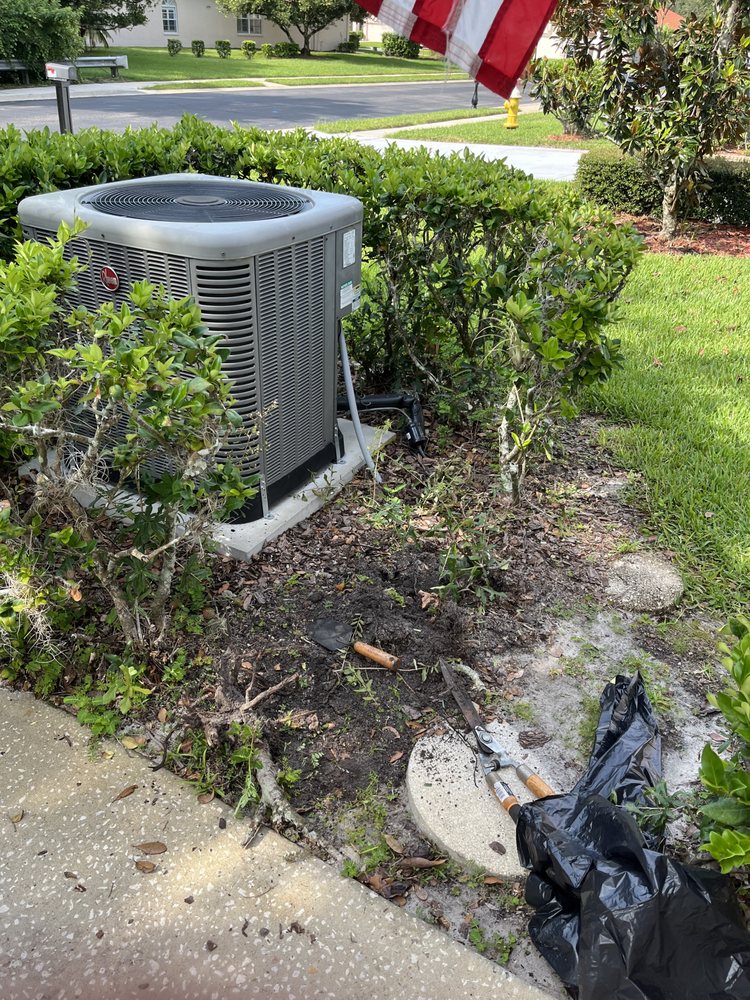 MIGHTY MITCH CLEANING - Updated July 2025 - 29 Photos - 9613 Patrician ...