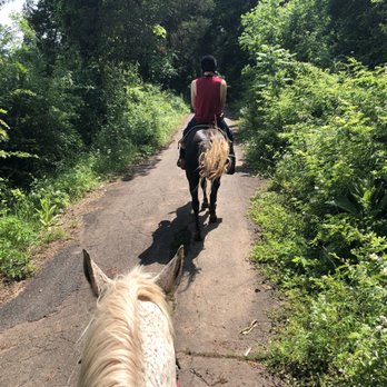 RED BUFFALO RANCH - Updated August 2025 - 68 Photos & 60 Reviews - 1106 ...