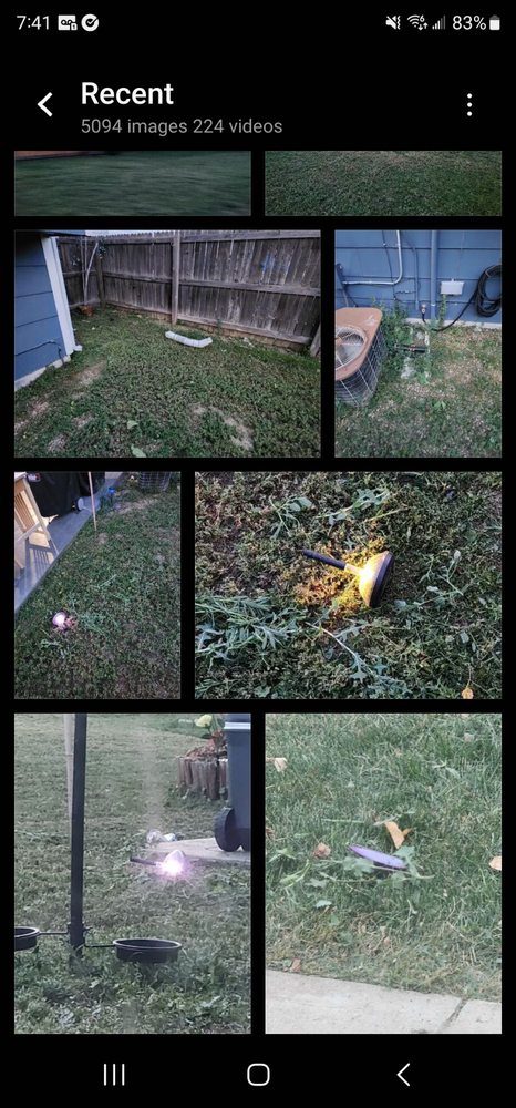 LAWN LOVE LAWN CARE - Updated October 2025 - 36 Photos & 117 Reviews ...