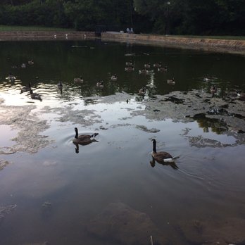 DOLING PARK AND FAMILY CENTER - Updated September 2025 - 18 Photos ...