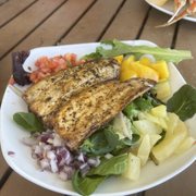 THE ISLAND WATERFRONT BAR & GRILL - 182 Photos & 199 Reviews - Bars ...