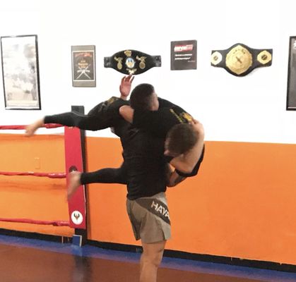 AVERAGE JOE’S MMA & FITNESS - Updated December 2025 - 16 Photos - 546 ...