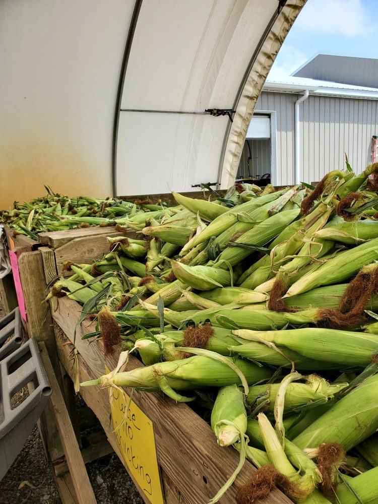 SOUDER FARMS SWEET CORN - Updated July 2025 - 28 Photos - 1635 W 900th ...