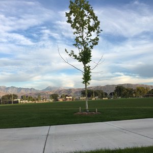 LODESTONE PARK - Updated January 2025 - 28 Photos & 10 Reviews - 6170 ...