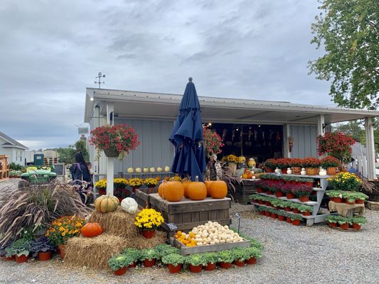 ANDREWS FAMILY FARM & GREENHOUSES - 12 Photos - 1038 Sound Ave, Wading ...